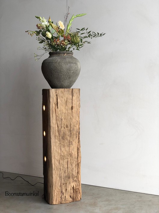 Lichtzuil Zilt | Boomstamwinkel Brakel