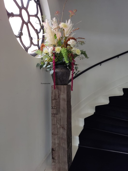 ZUIL SOKKEL MEERPAAL | BOOMSTAMWINKEL BRAKEL