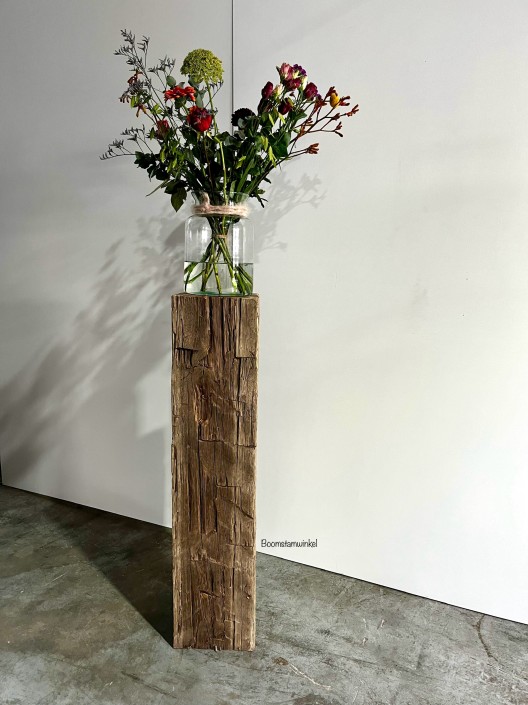 ZUIL SOKKEL MEERPAAL | BOOMSTAMWINKEL BRAKEL